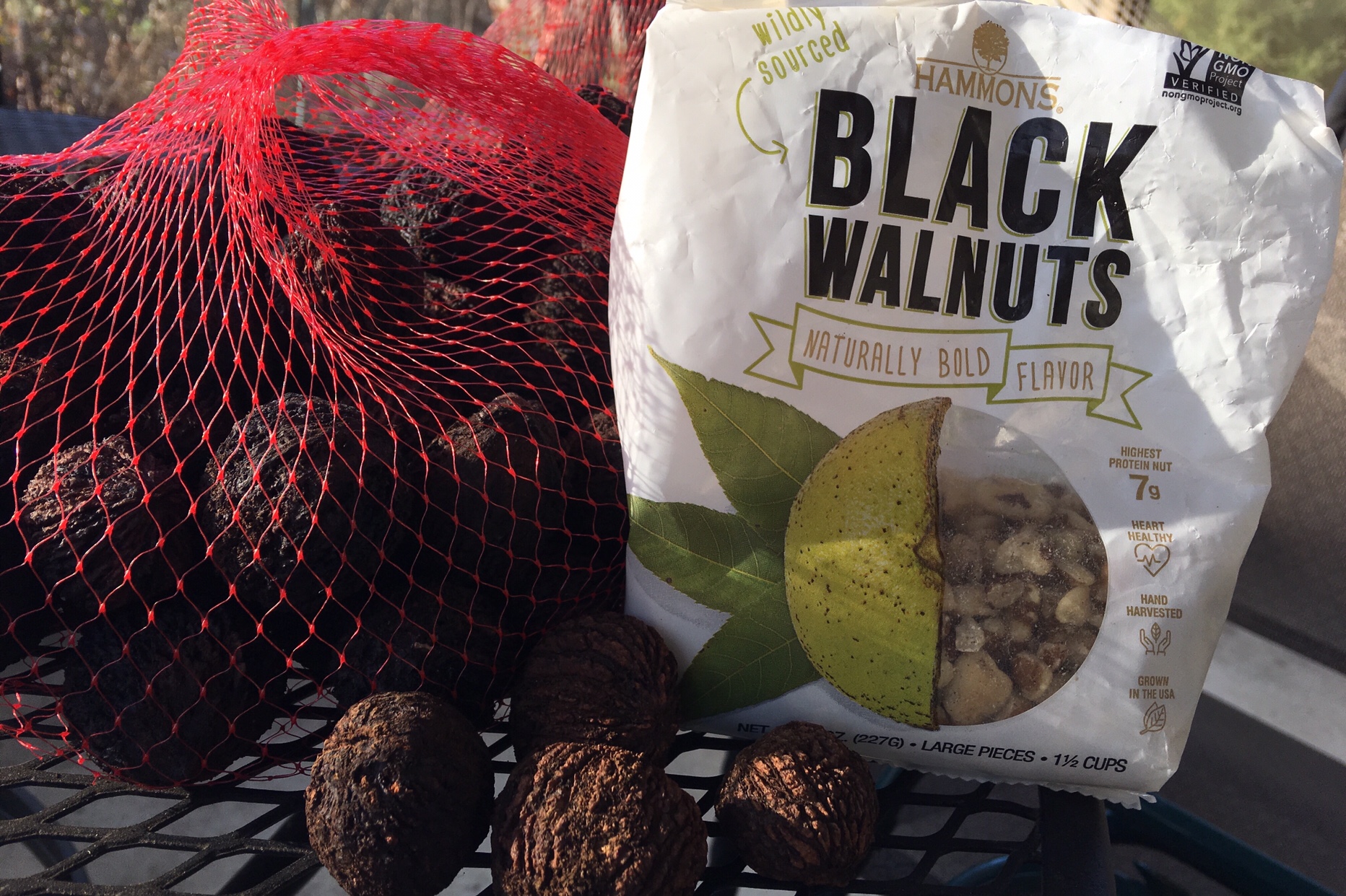 Black Walnuts the easy way – SIDEWALK NATURE