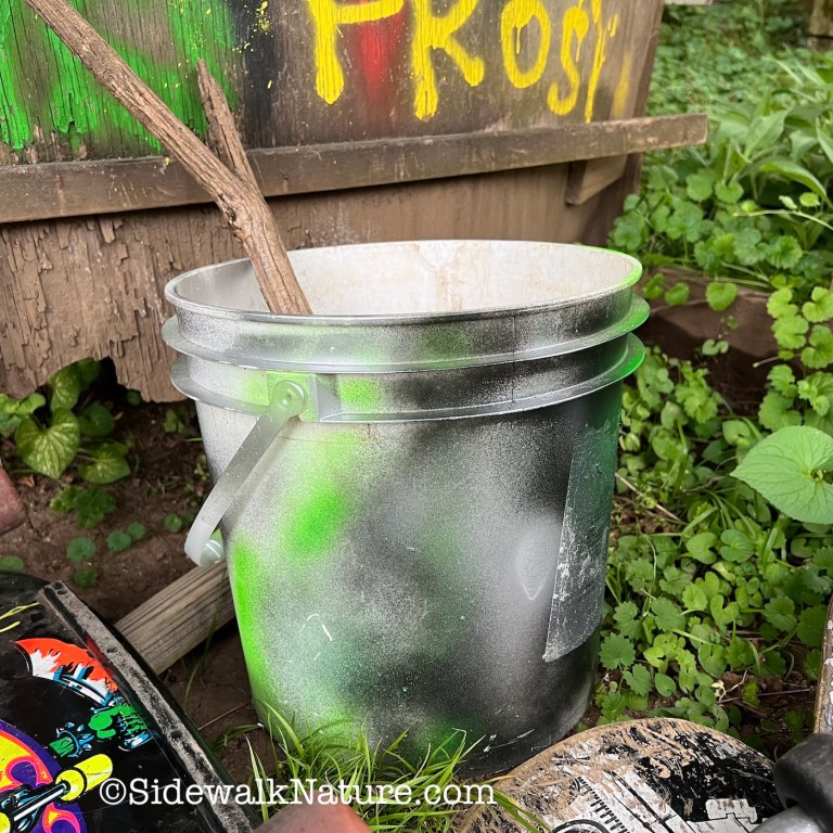 (Doom-it-Yourself) Mosquito Bucket Styles – SIDEWALK NATURE